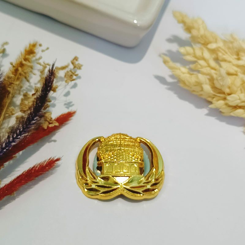 Jual Pin Korpri Kuningan Magnet // Pin Korpri Magnet Kuningan | Shopee ...