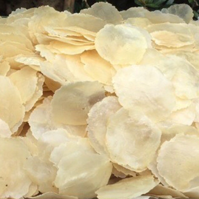 Jual EMPING KECIL & TIPIS PREMIUM QUALITY (1 Biji Melinjo)1 KG | Shopee ...