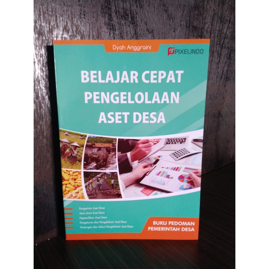 Jual Buku Belajar Cepat Pengelolaan Aset Desa - Dyah Anggraini | Shopee ...