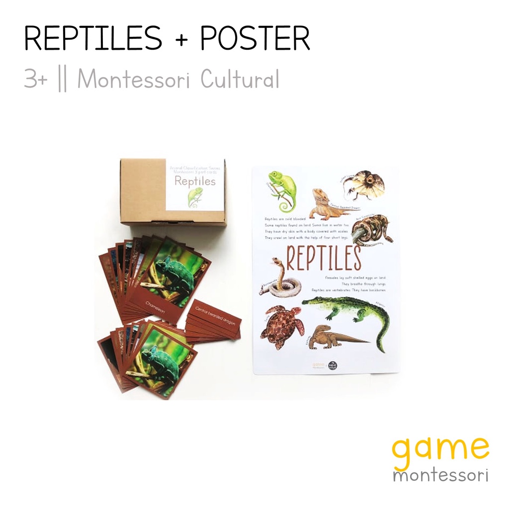 Jual Game Montessori Animal Classification Canvas Series Mollusks ...