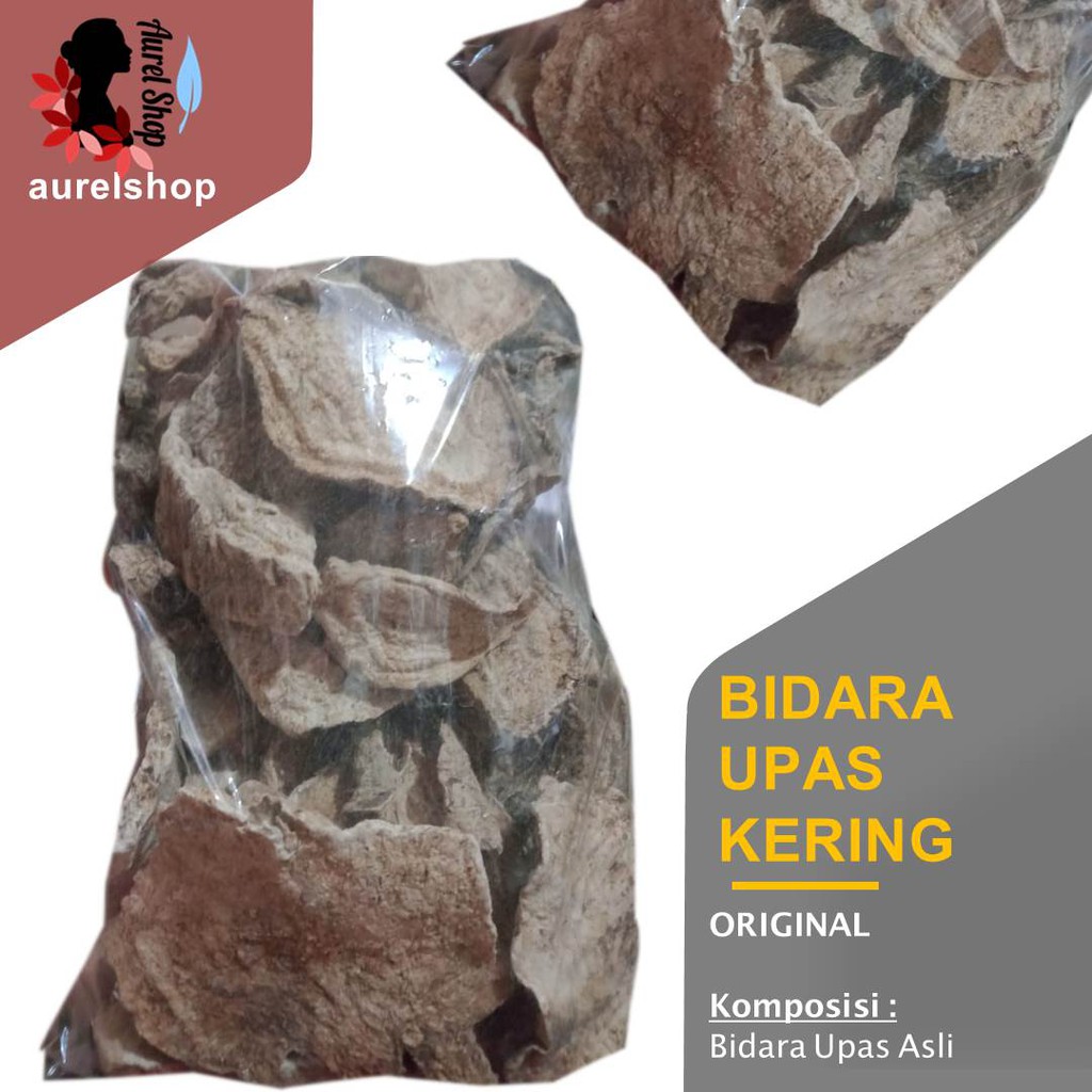 Jual Umbi Bidara Upas Kering 1 kg Widara (Ziziphus mauritiana) | Shopee ...