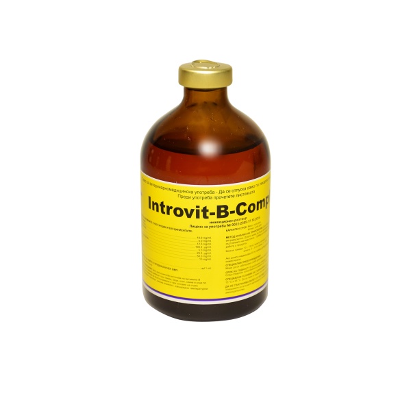Jual Introvit B Complex 100ml Konsentrasi Tinggi dg Biotin 100 ml ...