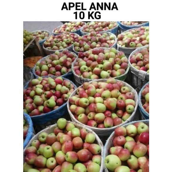Jual Buah Apel malang/apel anna 10 kg | Shopee Indonesia