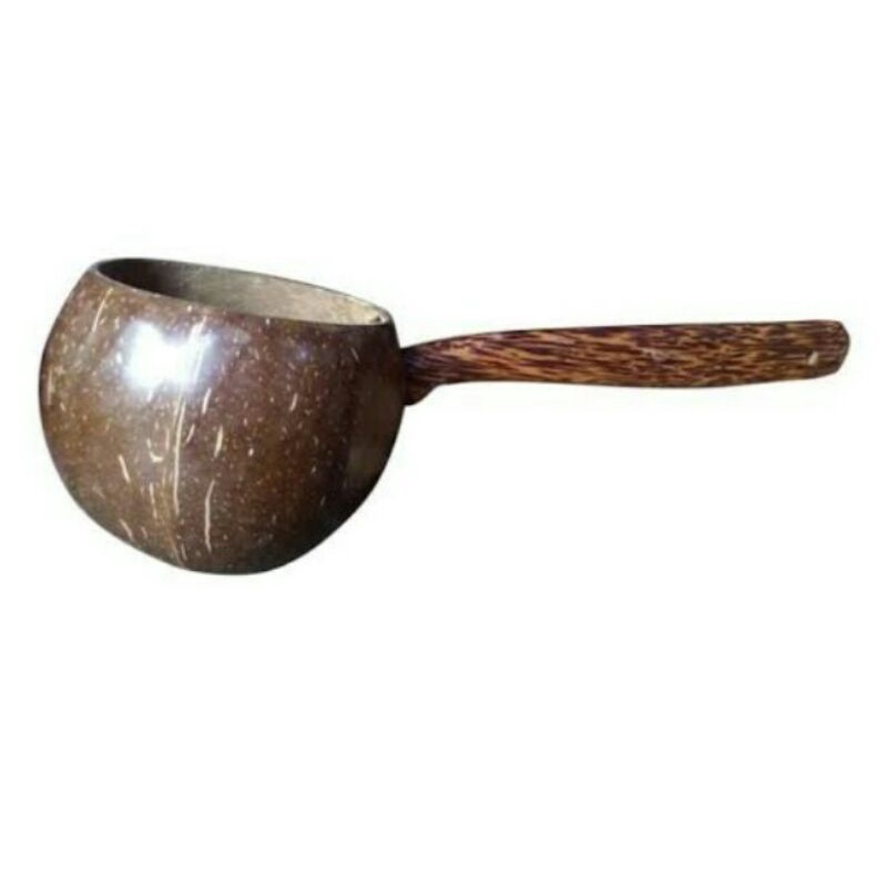 Jual gayung batok kelapa batok jumbo | Shopee Indonesia