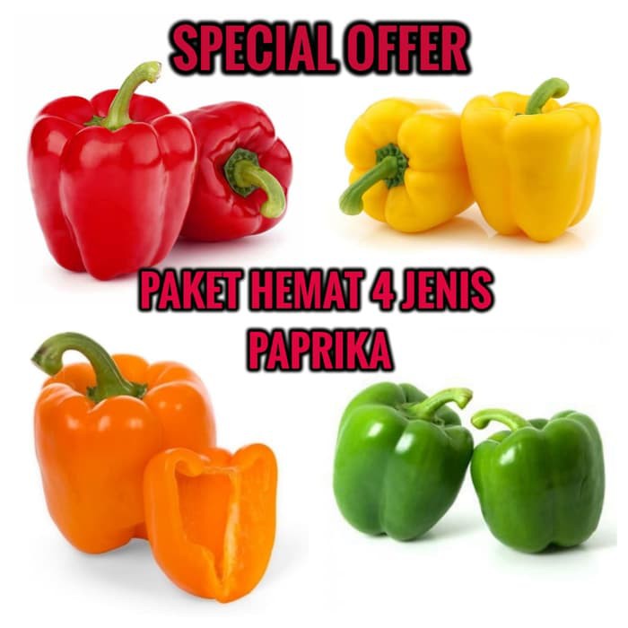 Jual PROMO Paket 4 Jenis Benih / Biji Cabe Hias Sayur Unik Cabai ...