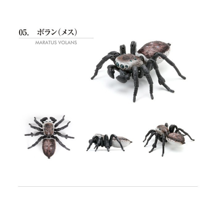 Jual SPLIT Peacock Spider Laba-laba Merak Ikimono Bandai Gacha Figure ...