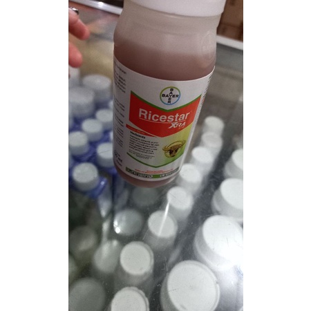 Jual obat ricestar 100 ml | Shopee Indonesia