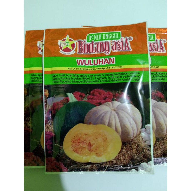 Jual benih/bibit LABU WULUHAN 10GR Bintang Asia sayur | Shopee Indonesia