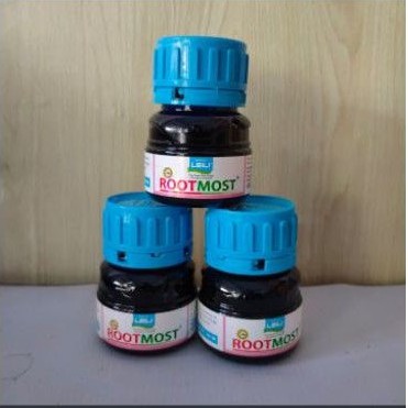 Jual nutrisi perangsang akar ROOT MOST 100ml | Shopee Indonesia