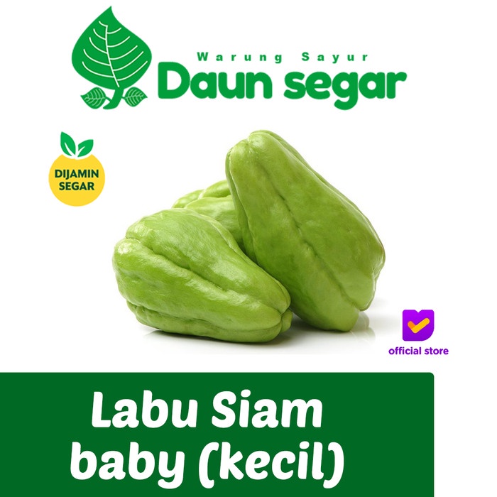Jual Labu Siam Kecil / baby labu siam 250gram | Shopee Indonesia