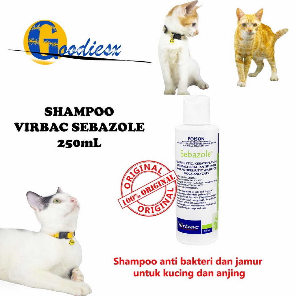 Jual Shampoo Virbac Sebazole 250mL | Shopee Indonesia
