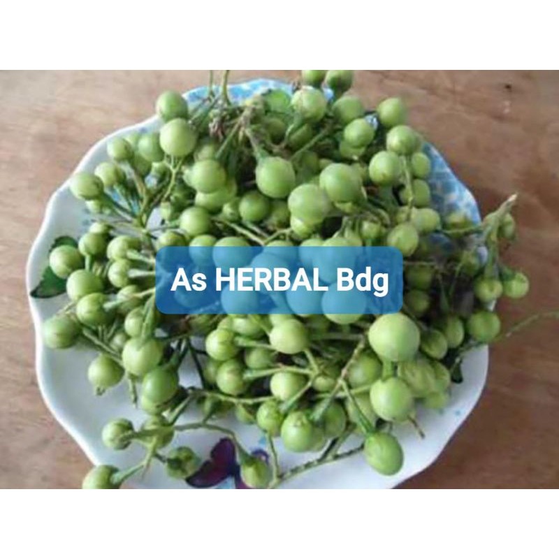 Jual Buah Cepokak atau Takokak 500 gram | Shopee Indonesia
