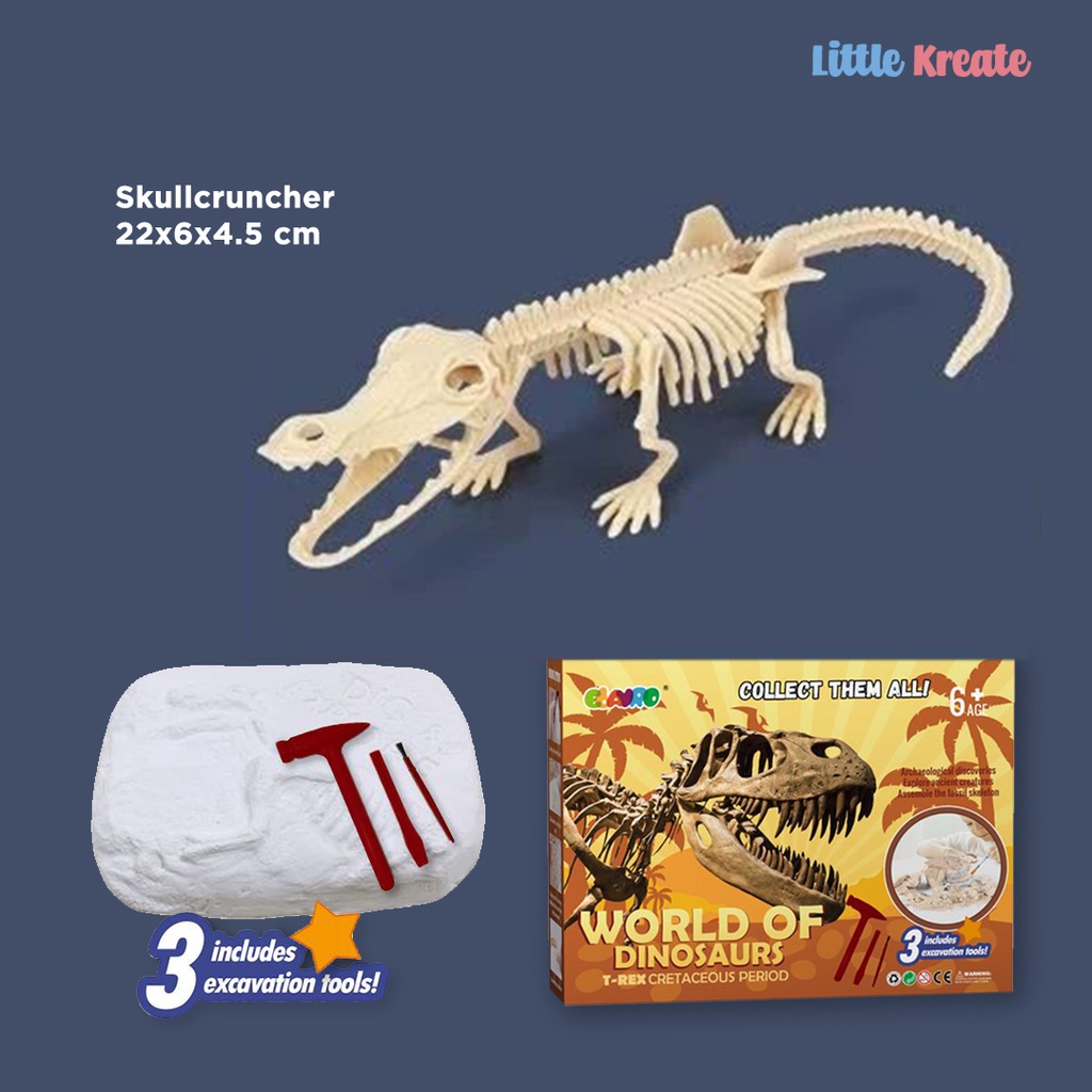 Jual World of Dinasaurs / Mainan Edukasi Anak Fossils Dinosaurus ...