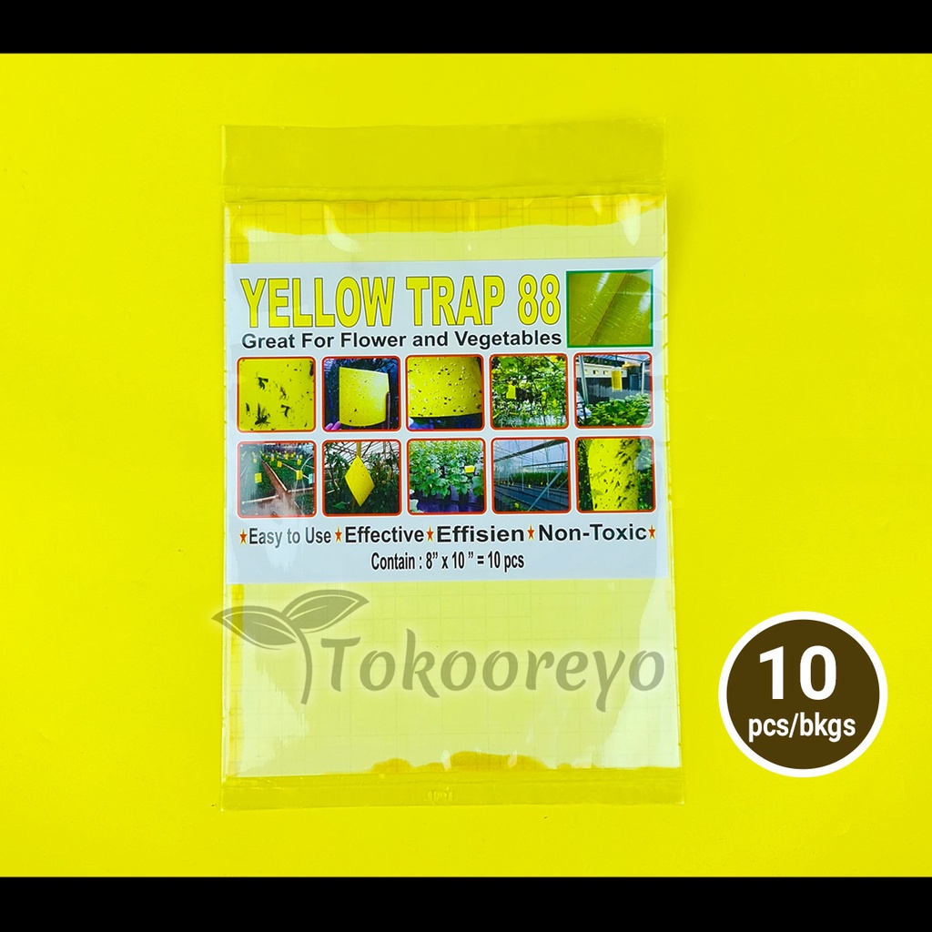 Jual YELLOW TRAP PERANGKAP SERANGGA LALAT TANAMAN LEM KERTAS INSECT ...