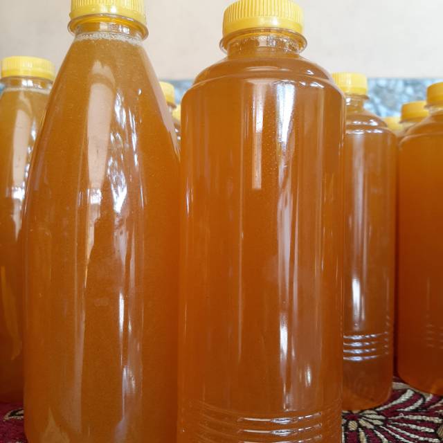 Jual MADU BOTOL 600ML PREMIUM Bersertifikat Lebah Apis Melifera ...