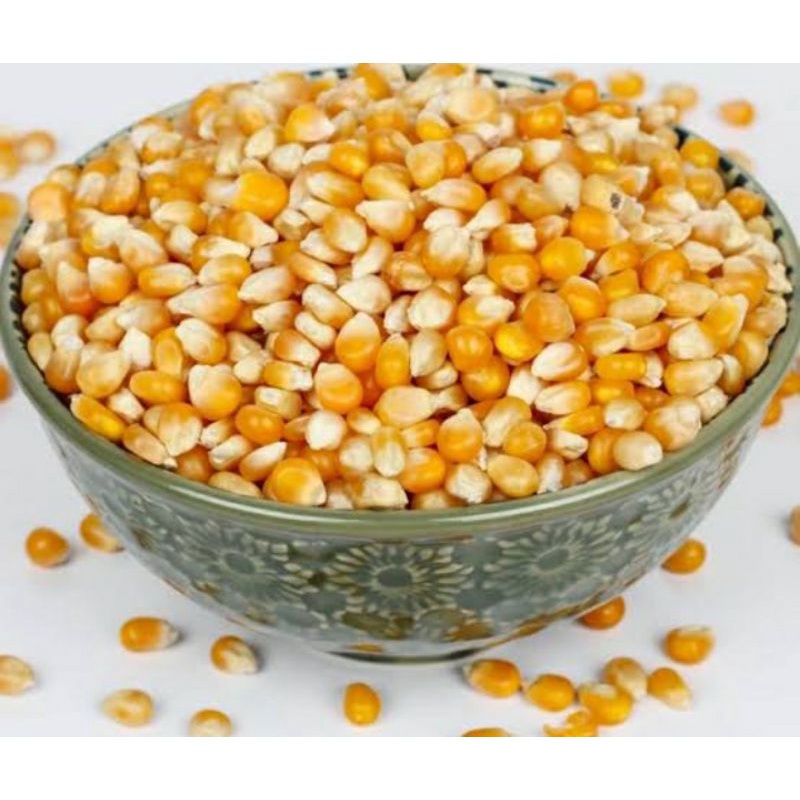 Jual Jagung Popcorn per 1/4 kg Bandung | Shopee Indonesia