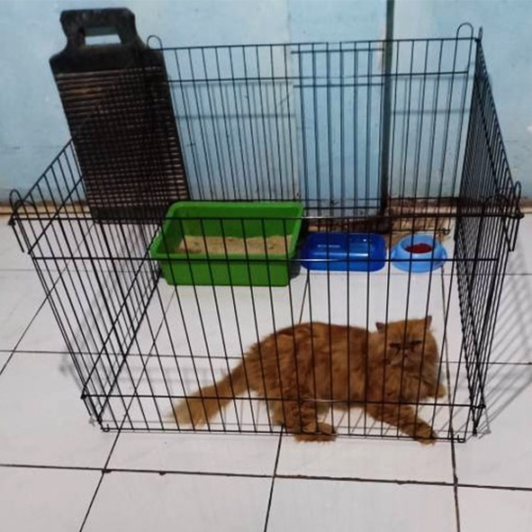 Jual PAGAR HEWAN PELIHARAAN 90x60 BESI kandang hewan murah anjing ...