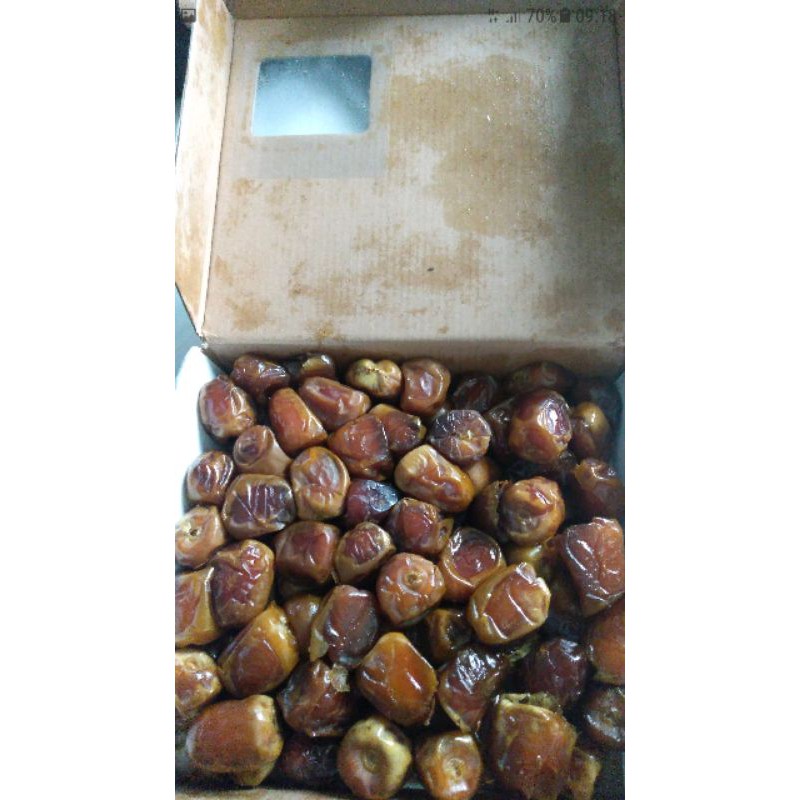 Jual Harga Kurma Sukari 1 Kg Terlengkap & Harga Terbaru Juni 2026 ...