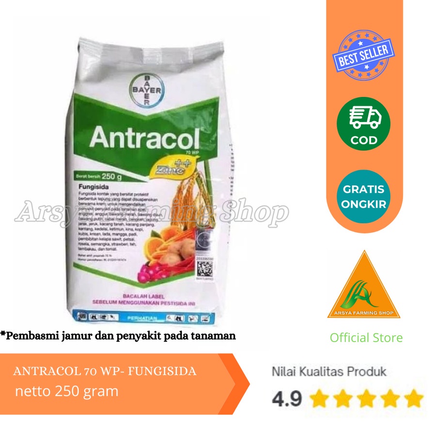 Jual Antracol 70WP 250 Gram Fungisida Anti Jamur & Penyakit | Shopee ...