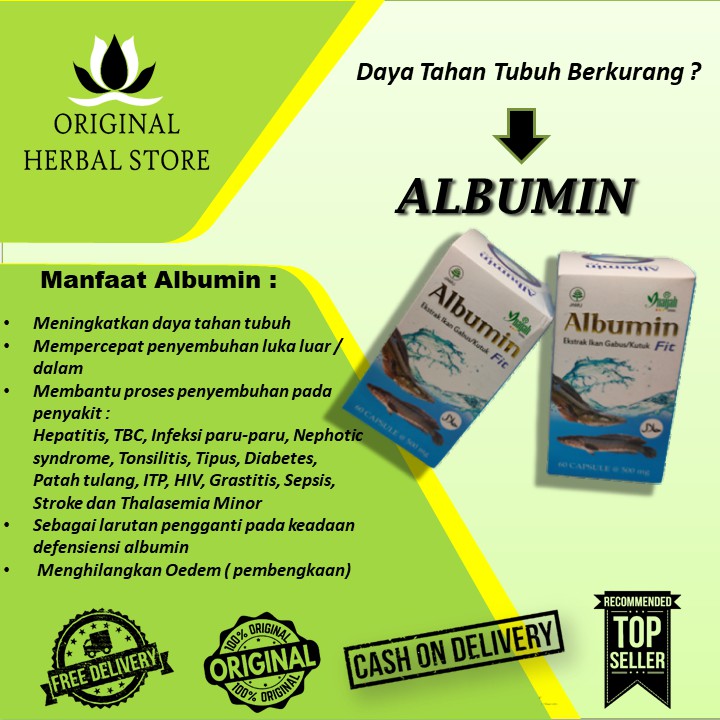 Jual Albumin Fit Ekstra Ikan Gabus - Suplemen Kesehatan - Obat Diabetes ...