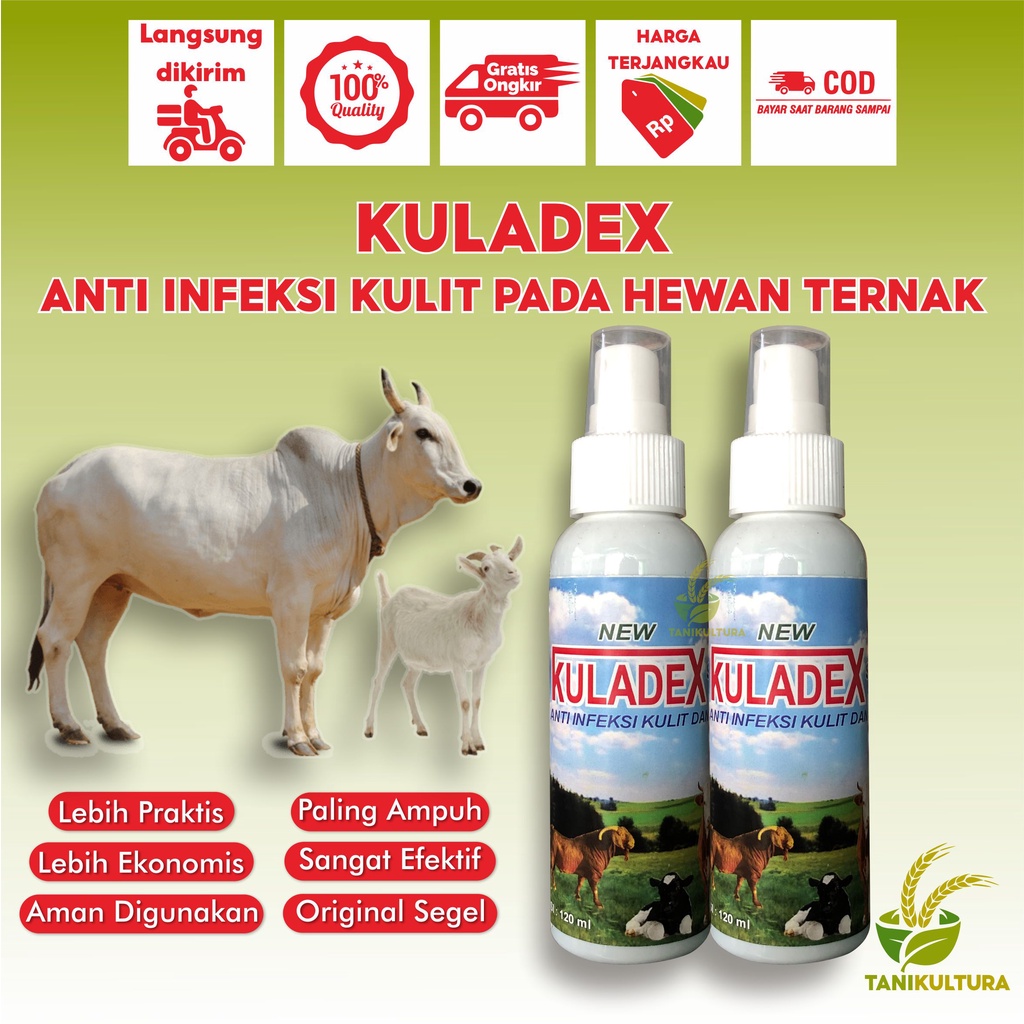Jual Kuladex Spray Obat Semprot Anti Luka dan Lalat Pada Hewan Ternak ...