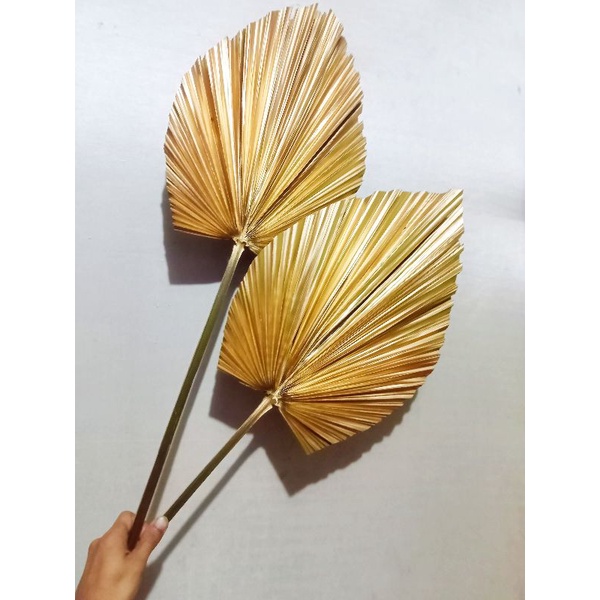Jual Daun palem/daun Sadeng gold ukuran 30cm murah hemat | daun rustic ...