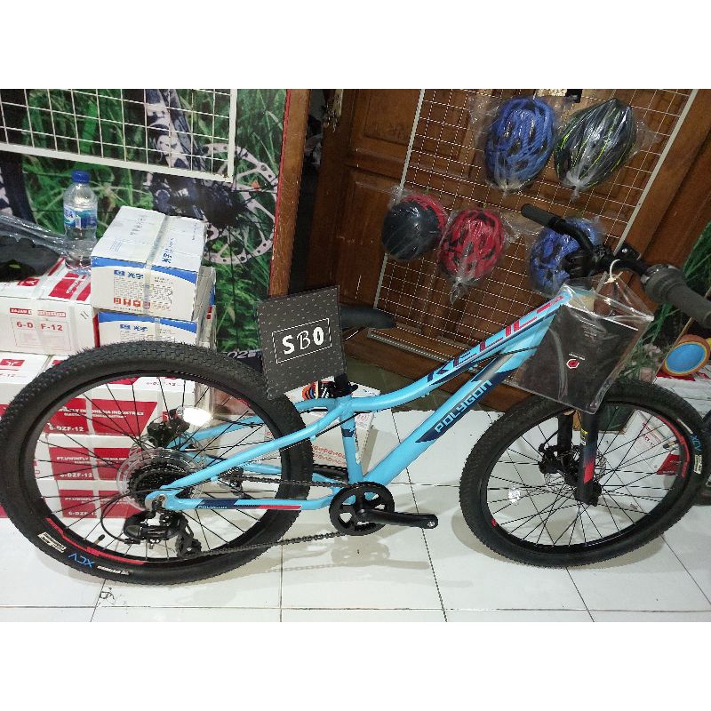 Jual Sepeda MTB 24 Inch Polygon Relic | Shopee Indonesia