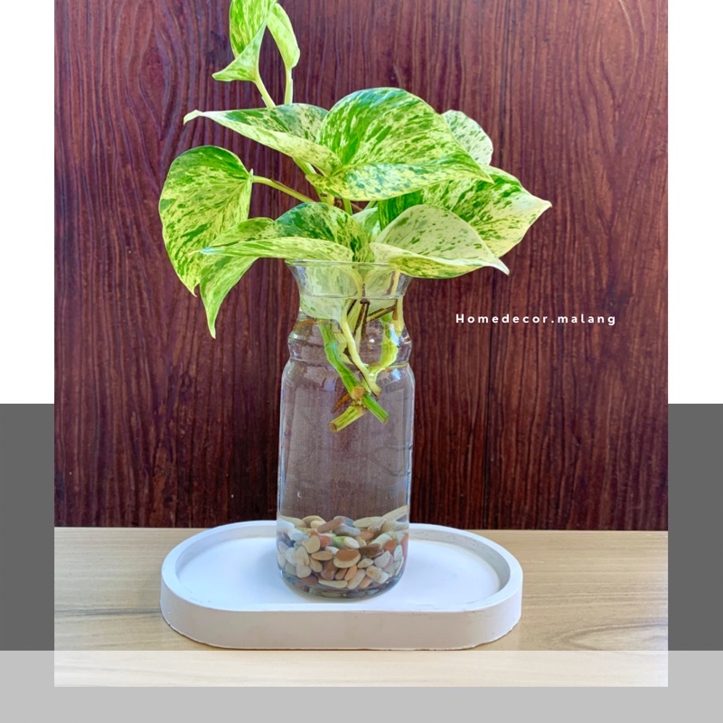 Jual VAS BUNGA KACA POLOS| GELAS KACA| GELAS UNIK| POT KACA| VAS BULAT ...