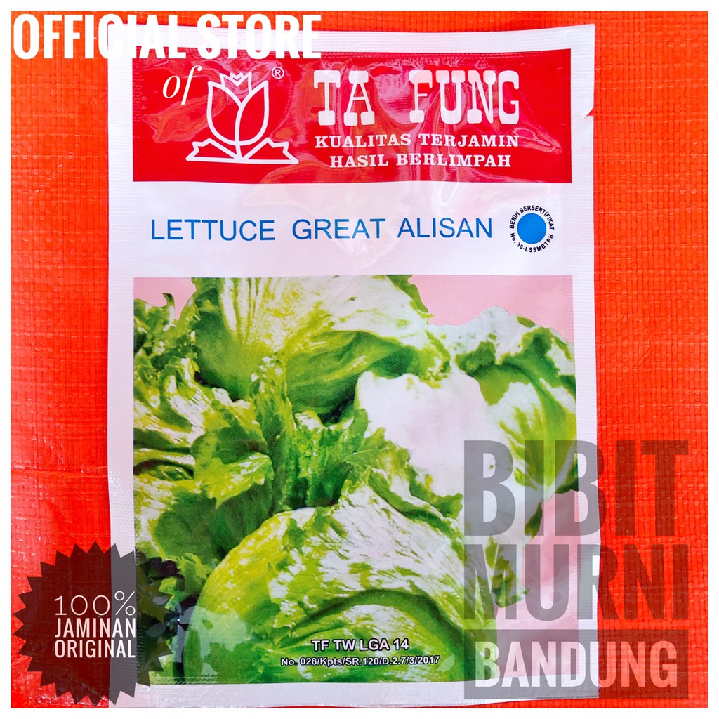 Jual BENIH SELADA KOL ICEBERG LETTUCE ALISAN 10 GRAM ORIGINAL PACK ...