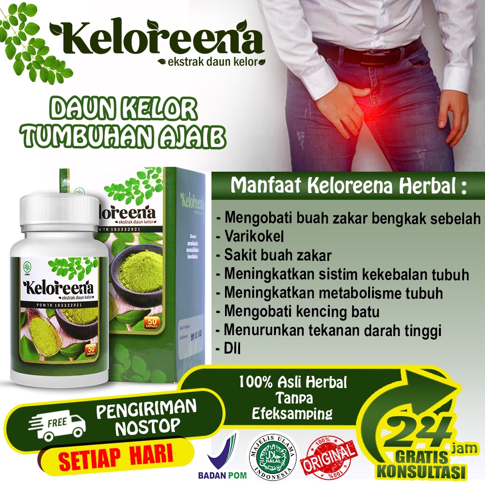 Jual Obat Herbal Untuk Buah Zakar Bengkak Besar Sebelah Sakit Nyeri ...