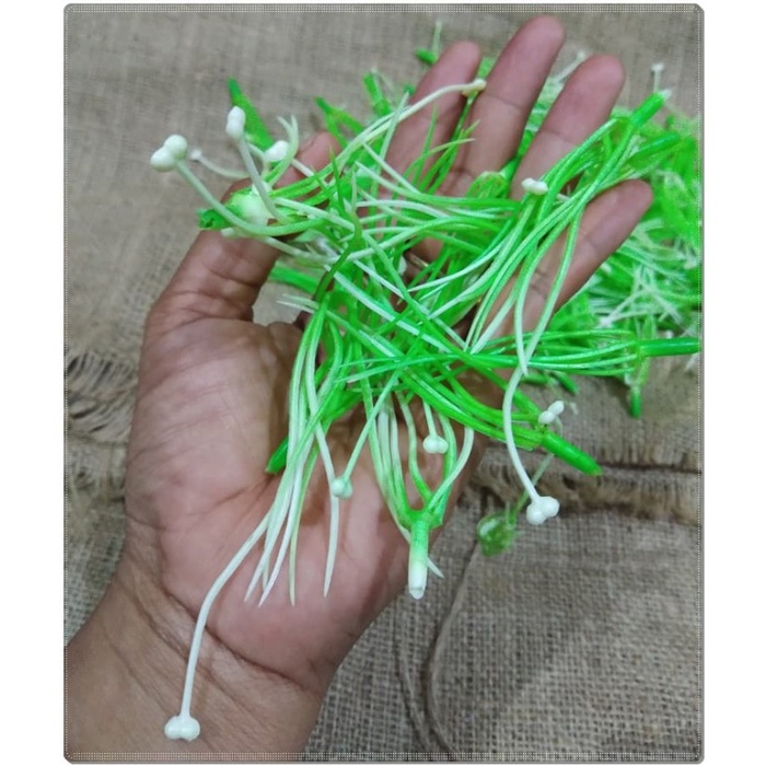 Jual PUTK-08 : Putik Bunga Lily (per buah) | Shopee Indonesia