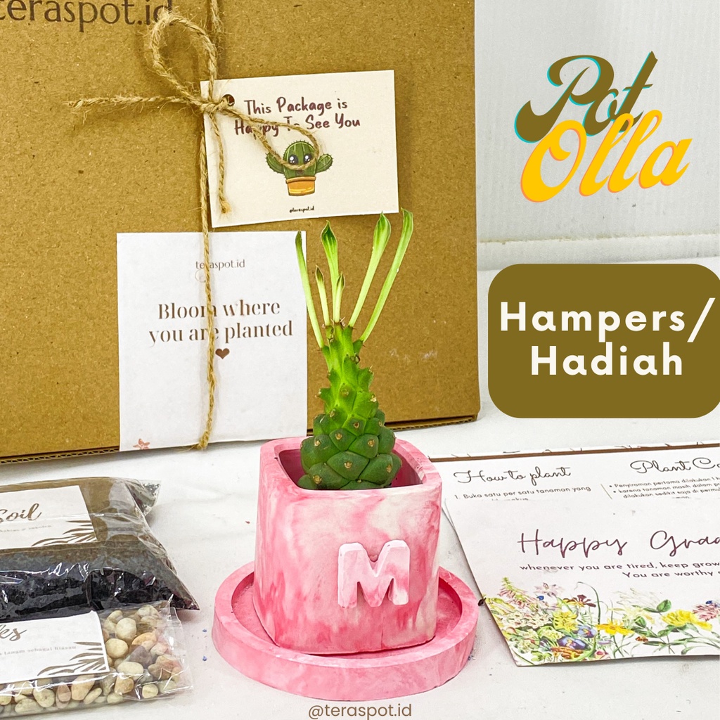 Jual Hadiah Pot Kaktus Sukulen Paket Planting Kit - Custom Inisial dan ...