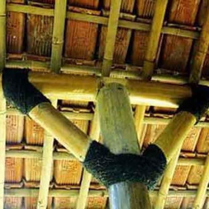 Jual Tali ijuk tali bambu aren serabut hitam tali gazebo, tali saung ...