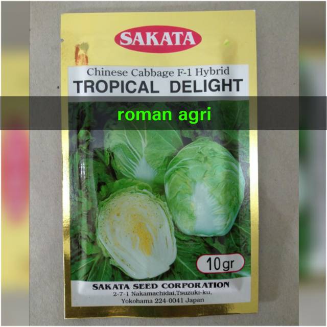 Jual TROPICAL DELIGHT Benih Chinese Cabbage isi 10 gram | Shopee Indonesia