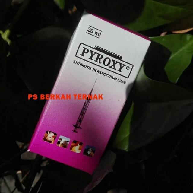 Jual ANTIBIOTIK OBAT PERNAFASAN & PENCERNAAN AYAM PYROXY 20 ML SAPI ...