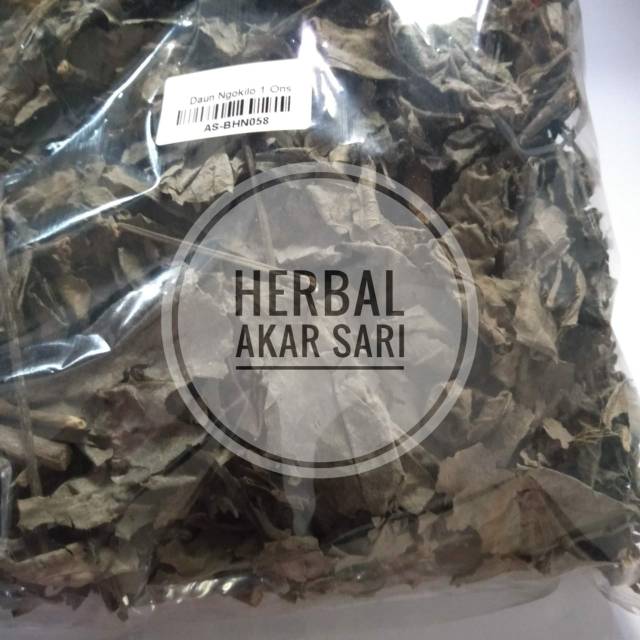 Jual Akar Sari - Daun Ngokilo 100 Gram - Mengobati Kencing Batu ...
