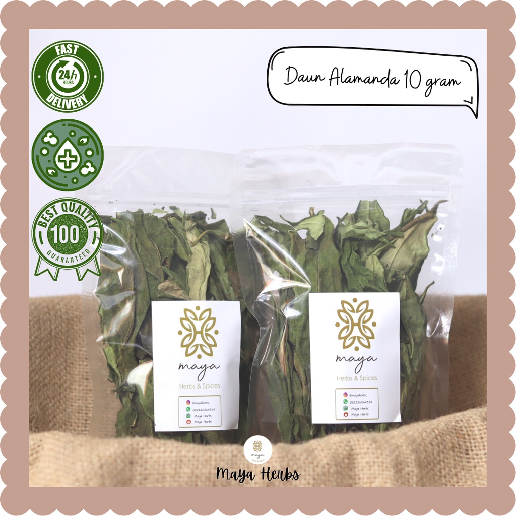 Jual Daun Alamanda Kering 10 gram ( Allamanda Cathartica ) | Shopee ...
