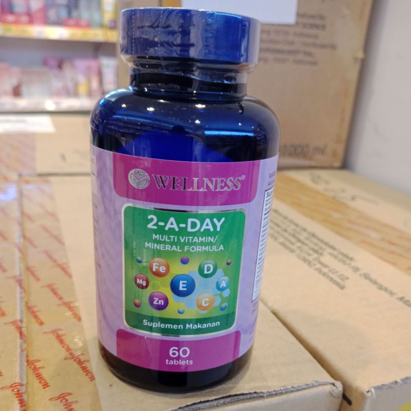 Jual Wellness 2 A Day Multi Vitamin Multivitamin Mineral Formula (60 ...