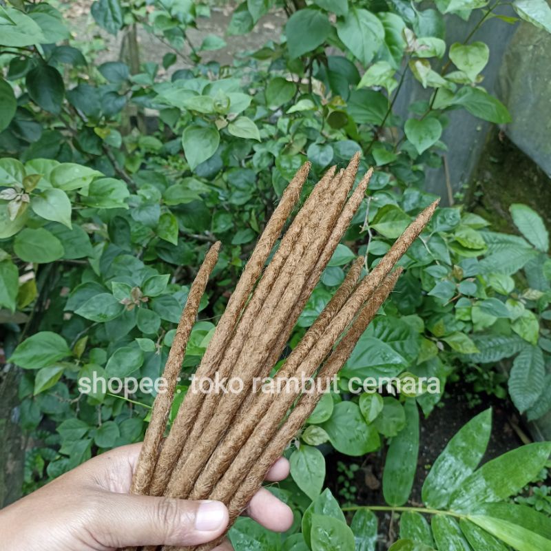 Jual Rambut gimbal | dreadlocks | dreadlok sintetis warna coklat muda ...