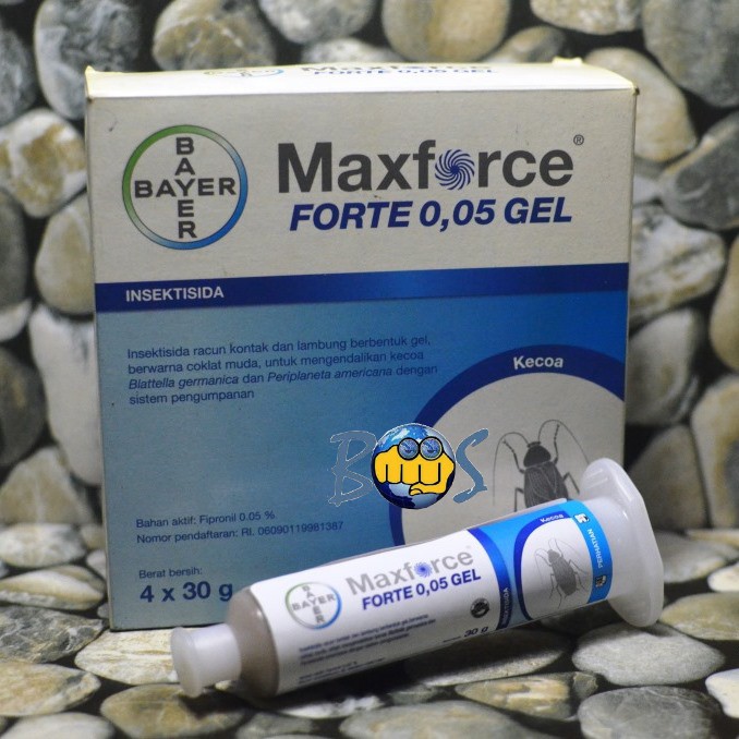 Jual Maxforce Forte 0,05 Gel Obat Umpan Basmi Kecoa Ampuh dari Bayer ...