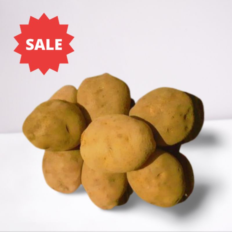 Jual kentang kuning super | kentang dieng besar | kentang grade A ...