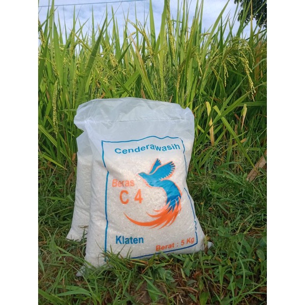 Jual beras C4 5Kg | Shopee Indonesia