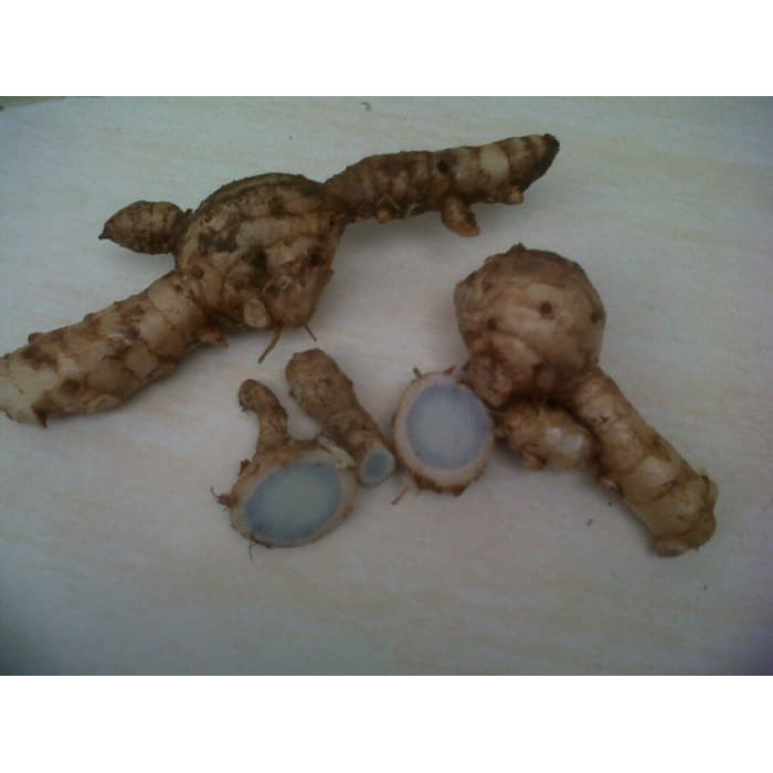 Jual Temu hitam segar 1 kg - temu ireng fresh | Shopee Indonesia