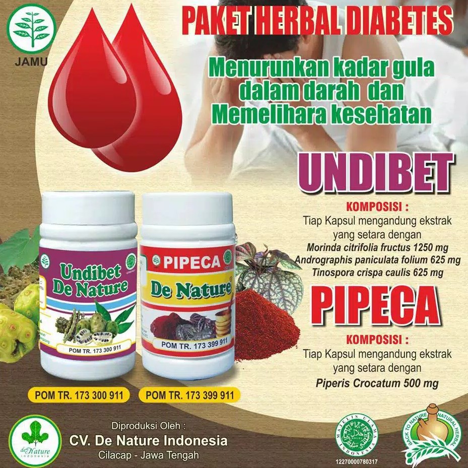 Jual Obat Herbal Gula darah tinggi, Diabetes, kencing manis, diabetes ...