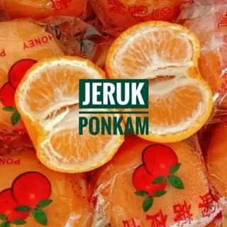 Jual Jeruk Ponkam Terlengkap & Harga Terbaru Juli 2024 | Shopee Indonesia