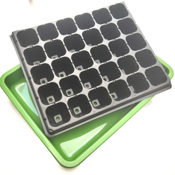 Jual tray semai lubang 4cm tray bawah dan tray hitam 30 lubang | Shopee ...