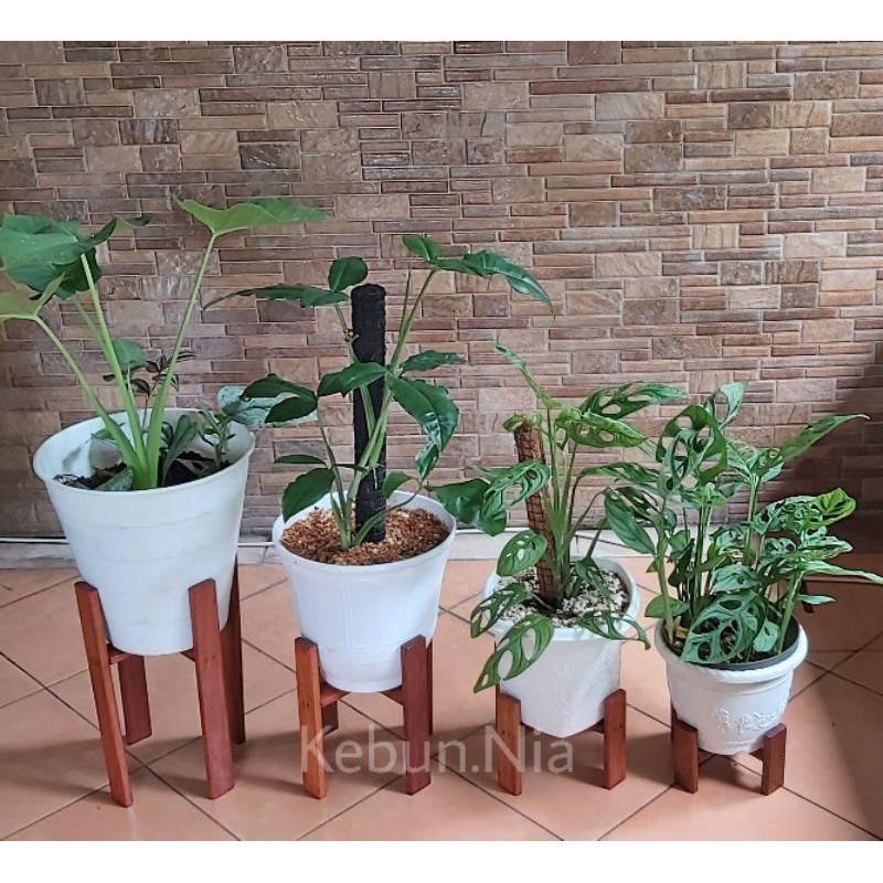 Jual Kaki kayu pot Standing pot kayu Rak tanaman kayu | Shopee Indonesia