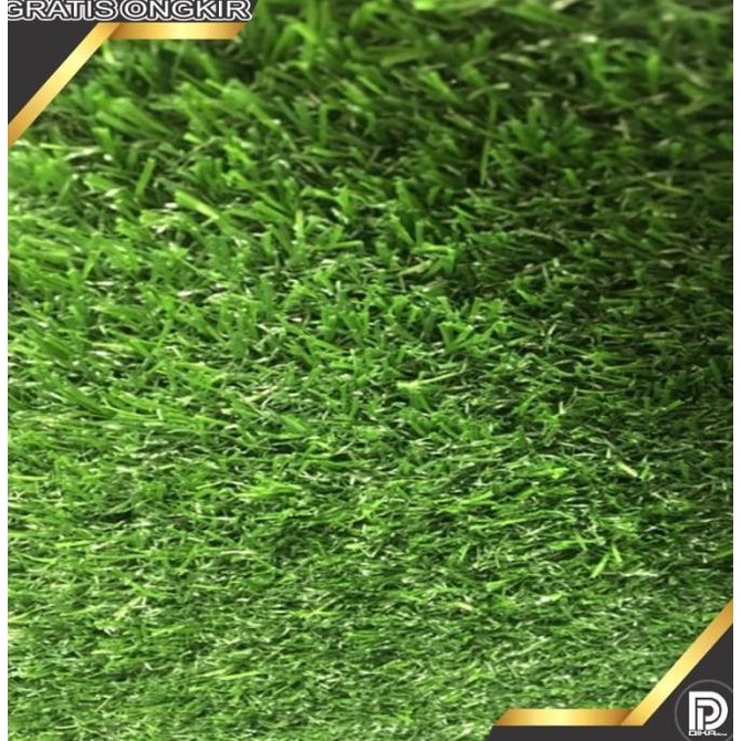 Jual Dika'S - Rumput Sintetis Tipe Swiss 20Mm _Tvlus0Ucd | Shopee Indonesia