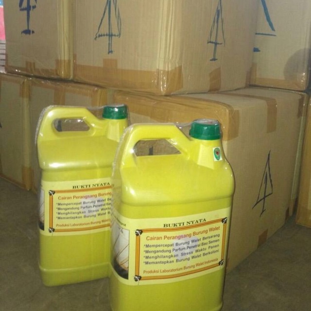 Jual Parfum walet merk “ bukti nyata “ kemasan isi 5 liter / parfum ...