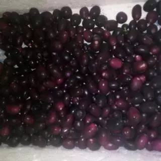 Jual Buah Jamblang Terlengkap & Harga Terbaru Oktober 2025 | Shopee ...